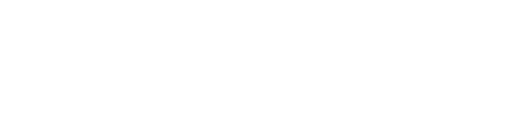 Annual Report 2024 – MSC Foundation