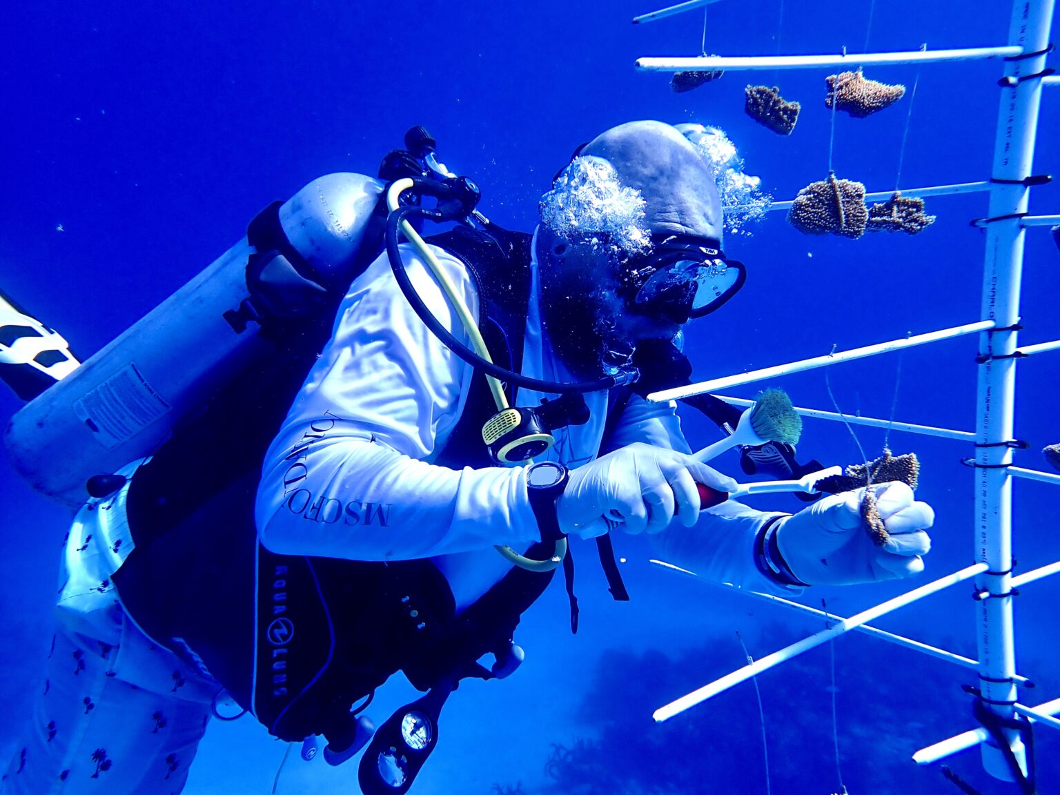 2023 Annual Report – MSC Foundation