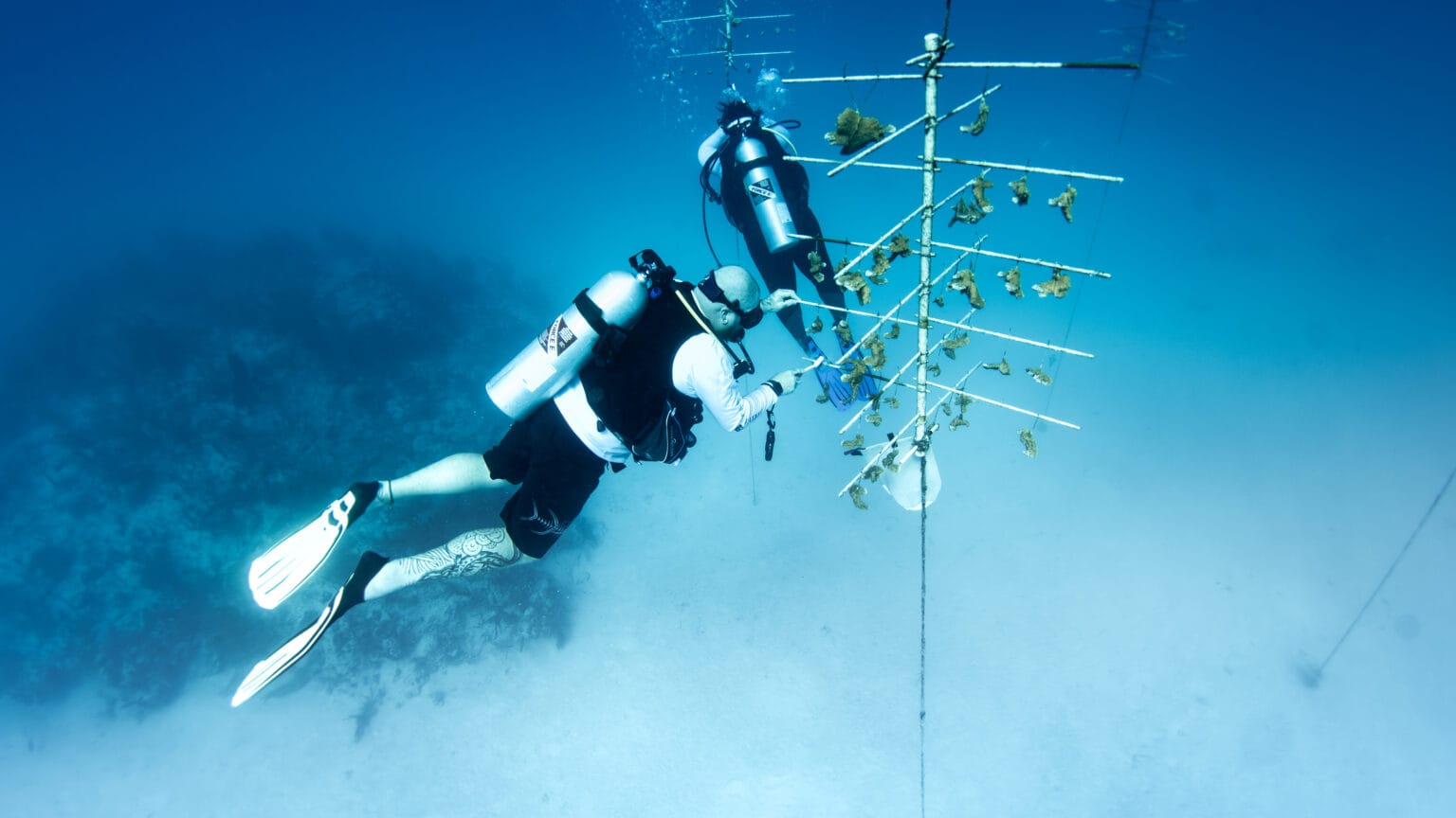 Annual Report 2024 – MSC Foundation